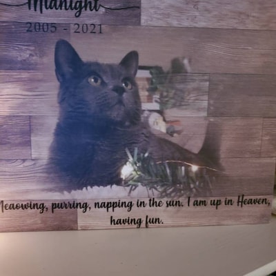 Cat Memorial Personalized Cat Memorial Loss of Pet Cat Pet Memorial ...
