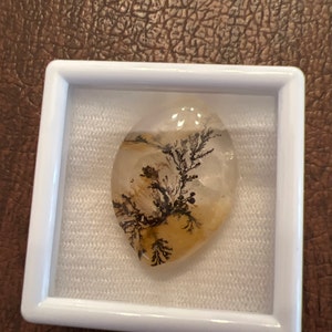 Stromatolite-microbialite Puy De Dôme France Display Specimen 11x9 Cm ...