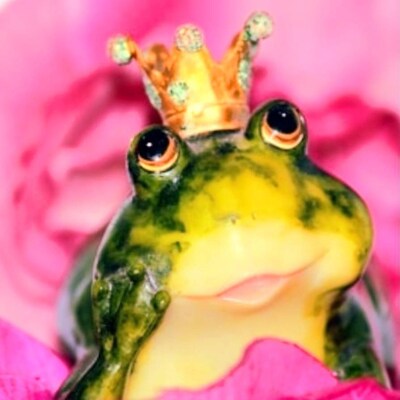 Astral Temple Magick: How to Create and Use Your Astral Temple ...