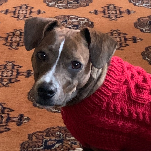 Aran Dog Sweaters/jumper in Alpaca/wool Mix, With a Traditional Aran ...