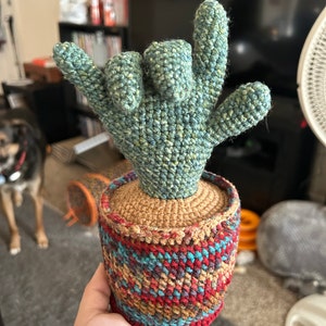 Cactus Hand CROCHET PATTERN / Amigurumi Cactus PDF English Pattern ...
