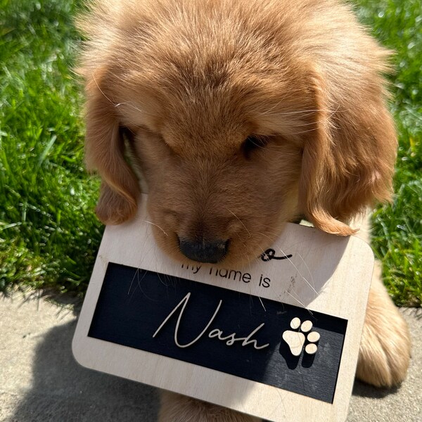 Back to School Sign Svg, End of School SVG, First Day of School Svg ...