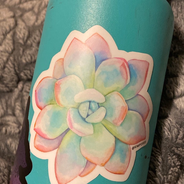 Pastel Succulent 3" Waterproof Vinyl Sticker for Water Bottles, Laptops ...