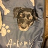 Personalized Pet Cat Photo Blanket, Custom Cat Face and Name Blankets ...