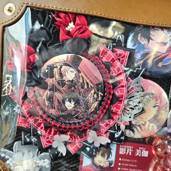 Badge Display,ribbon Rosette,award Ribbon Holder,college Pin Decor ...