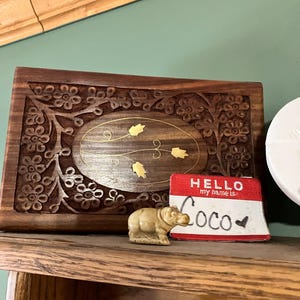 Flyded Sprayer 1930's Insect Sprayer - Etsy