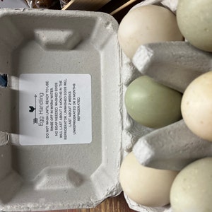 Egg Handling Stickers Chicken Stickers Farm Fresh Stickers Egg Carton ...