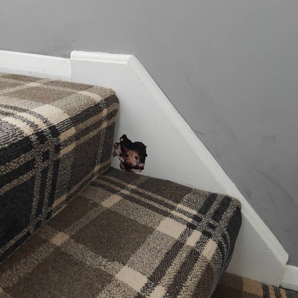 Mouse Hole 3D Wall Sticker - Lifelike Brown Mouse Peeking Out of ...
