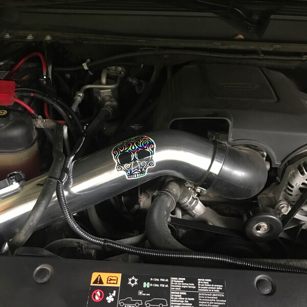 The World is Your Oyster Shuck It SVG PNG Digital Download (no Physical ...