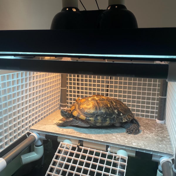 Tank Topper Turtle Dock! Sits on Top of Your Aquarium and Fits 18-19 ...