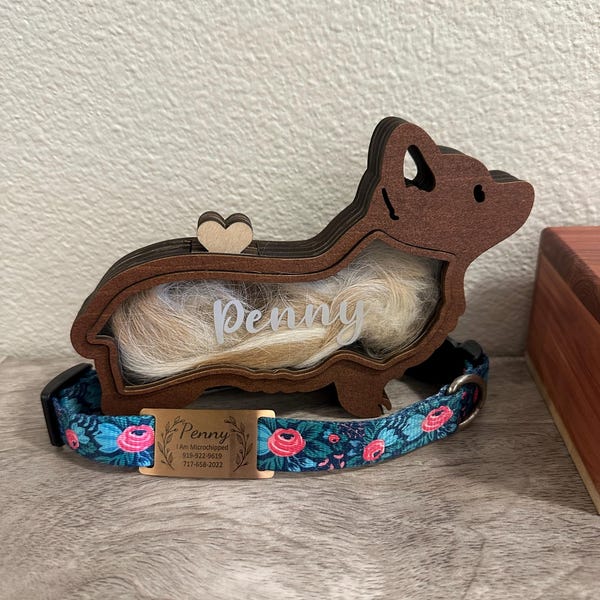 Coin Holder Travel Personalized, Coin Collection Display Foreign ...