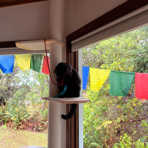 Modern Climber Cat Tree With Hammock, Floor to Ceiling Cat Tree Tower ...
