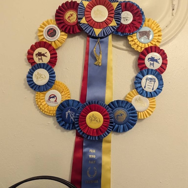 CUSTOM DIAMOND PILLOW One Sided - Diamond Horse Show Ribbon Pillow ...