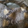 Genuine Python Leather, Natural Python Leather, Hide Snake Skin, Brown ...