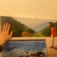 Bojack Horseman Poster | Hockney Pool Vintage Art Painting | Gift for ...