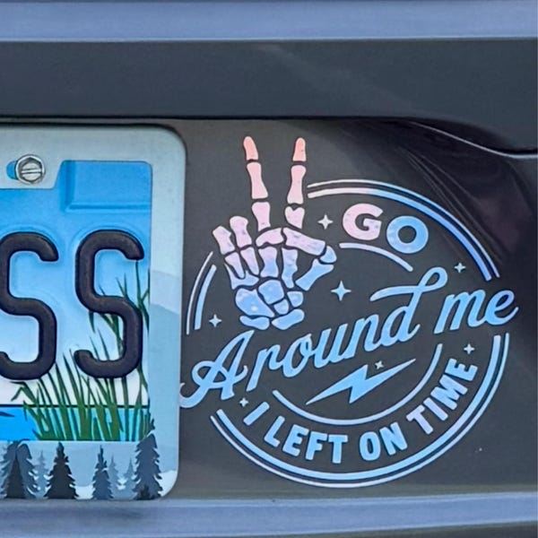 Lake Life Fish Skeleton Sticker - Etsy