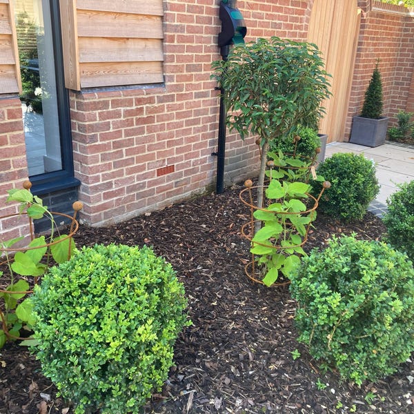 Gothic Border Hoop Edging - Etsy