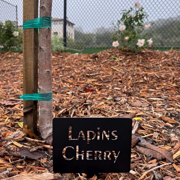 Metal Cabin Lake Sign ,fisherman Cabin Sign, Laser Cut Cabin Sign, Lake ...