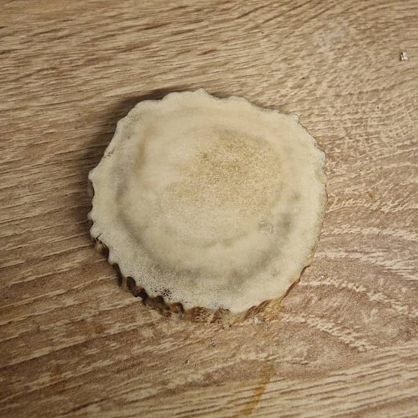 Bone Buttons, Handmade Bone Buttons, White Bone Buttons, White Bone ...