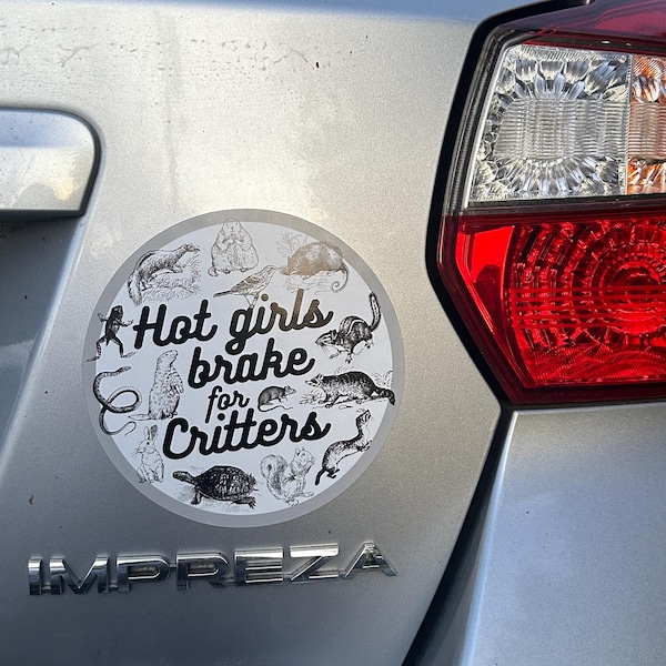Hot Girls BRAKE FOR CRITTERS | Bumper Magnet | Vinyl Car Magnet | Gen Z ...