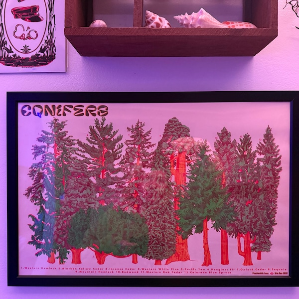 RISO 11 X 17 Conifer Tree Poster - Etsy