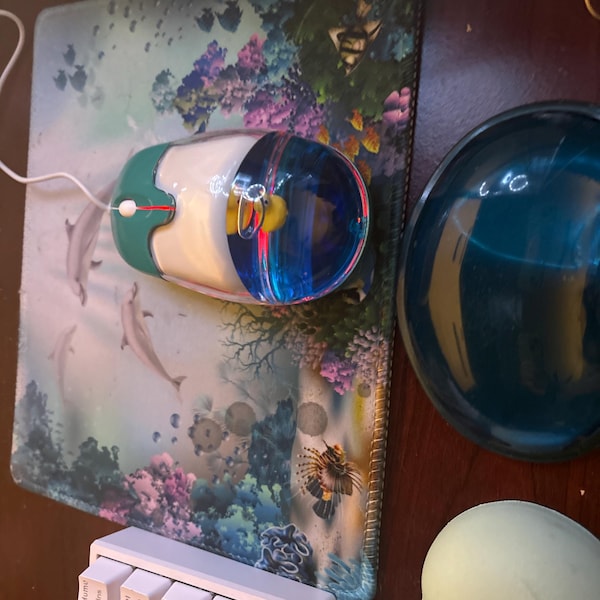 Y2K Aqua Style Mouse (USB) With Duck Floater - Etsy
