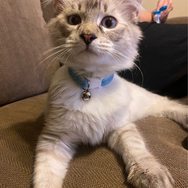 Cat Collar - "velvet - Frosty Blue" - Light Blue Cat Collar / Winter ...