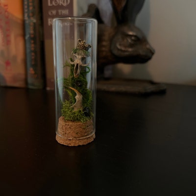 Crown Bone Jar Terrarium Rodent Skull and Bones Natural Stones - Etsy