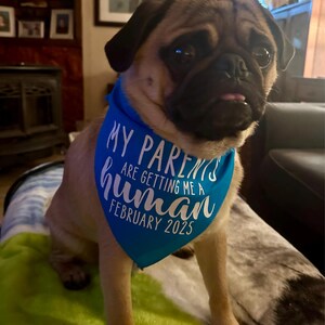 Ball-less & Flawless Dog Bandana, Funny Dog Bandana, Neuter Bandana ...