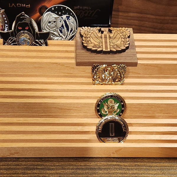 USAF TACP Tactical Air Control Party Black Beret Skull Challenge Coin ...