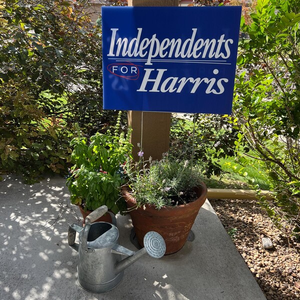 Trans Rights Are Human Rights Yard Sign 18x24, 2 Sided, LGBTQIA ...