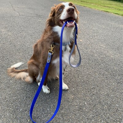 Waterproof Two Tone Dog Leash - Etsy Canada