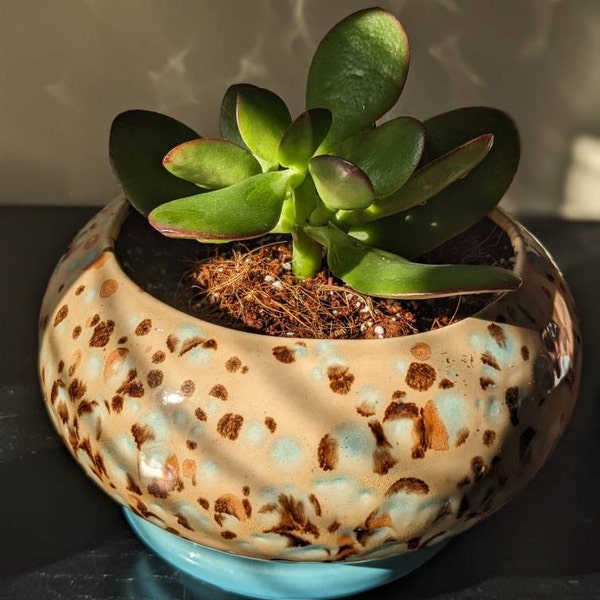 Succulent Planter / Azalea Pot / Ceramic Succulent Pot / Ceramic Flower ...