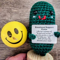 Emotional Support Pickle,positive Pickle,big Fan Pickle,handmade ...