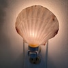 DEEP SCALLOP Sea Shell NIGHTLIGHT - Etsy