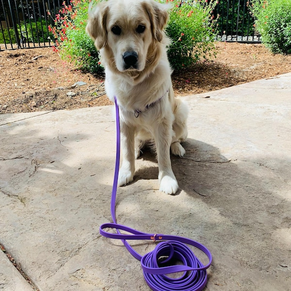 Handsfree Biothane Dog Leash, Animal Leash, Lead, Waterproof, Training ...