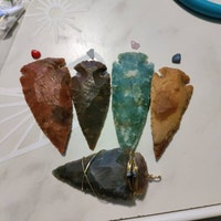 Codakia Orbicularis Aka Tiger Lucine Fossil / Fossilized Whole Bilvalve ...