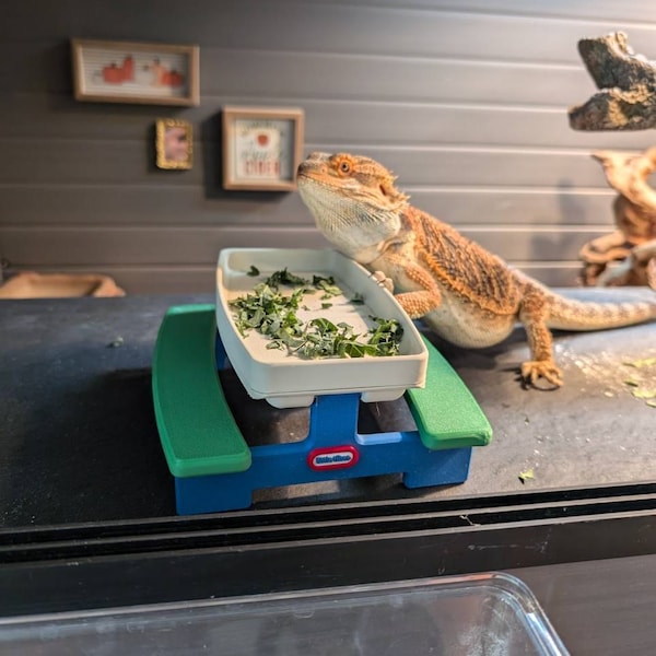Kiddie Pool Remake 3D Printed Reptile/small Pet Soak Bowl/sandbox Etc 3 ...