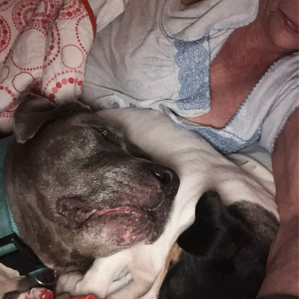 8x10 You Been Farming Long Print Picture Young Future Farmers Home Shop ...