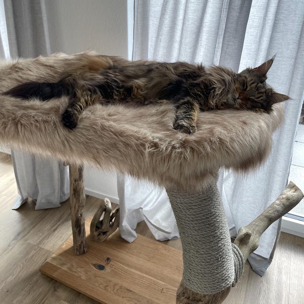 KIKKO, Luxury Coffee Table, Cat Bed, Scandinavian Design, Designer Bed ...