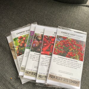 Che Tree Seeds cudrania Tricuspidata Packet of 5 Seeds | Etsy