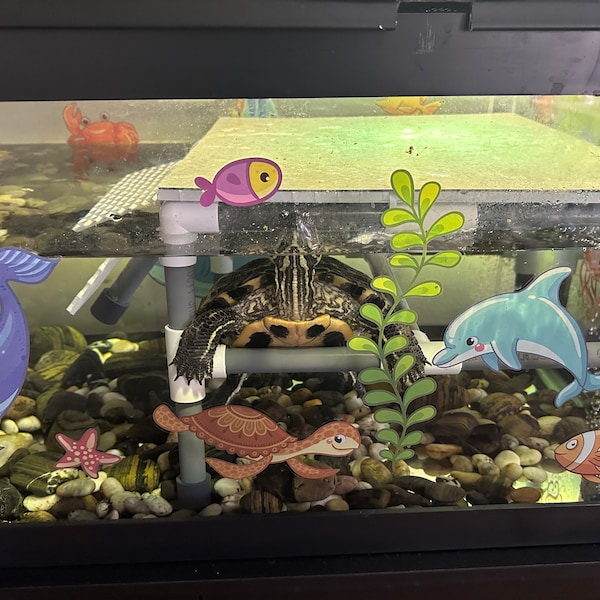 Tank Topper Turtle Dock Sits on Top of Your Aquarium and Fits 18-19 ...