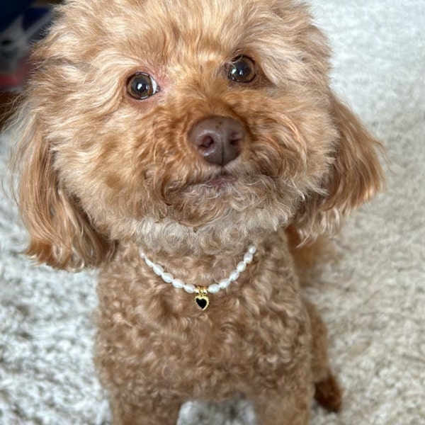 Build Your Own Dainty Charm Necklace Customizable Charm Necklace Custom ...