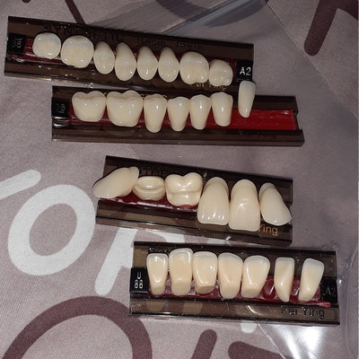 Halloween Horror Prop Life Size Realistic Resin Full Mouth Set of Teeth ...
