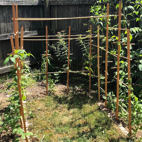 Plant Play Ground - Hardwood Trellis, for Active Plants - Etsy