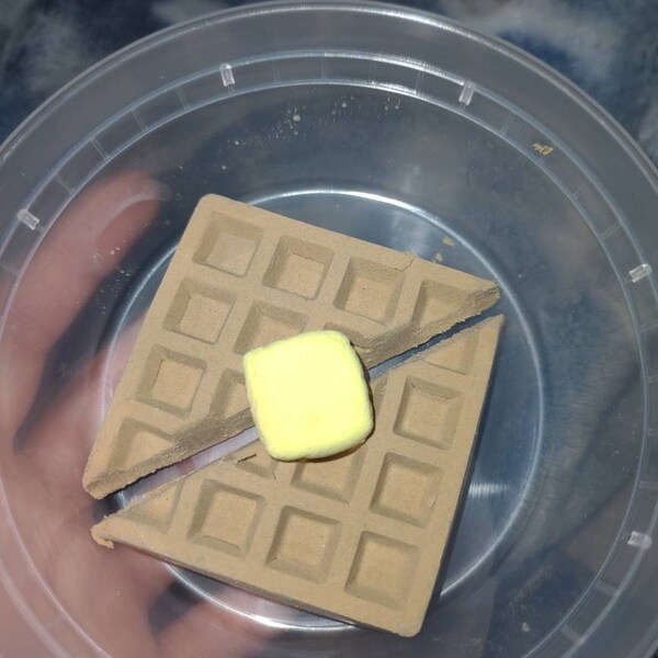 DIY Belgian Waffle Slime - Etsy