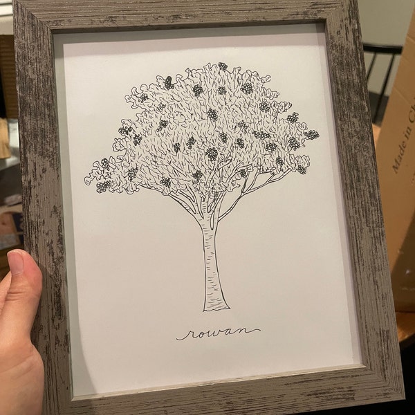 Rowan Tree Line Drawing, Reproduction From Original Ink Drawing - Etsy