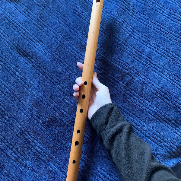 Zither Citera Hungarian Dulcimer in C Stringed Folk Instrument 15 ...