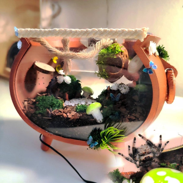 Jumping Spider Enclosure. Small Cauldron Acrylic Glass Enclosure for ...