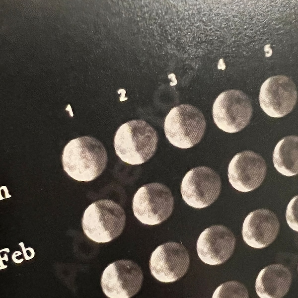 NEW- LUNA 2025 Moon Phase Calendar 11X17 Poster (ascent of the White ...